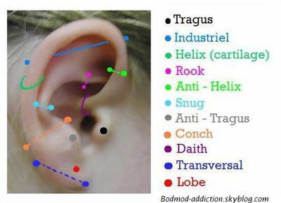 anti-helix | Forum manucure: Nail art et ongle